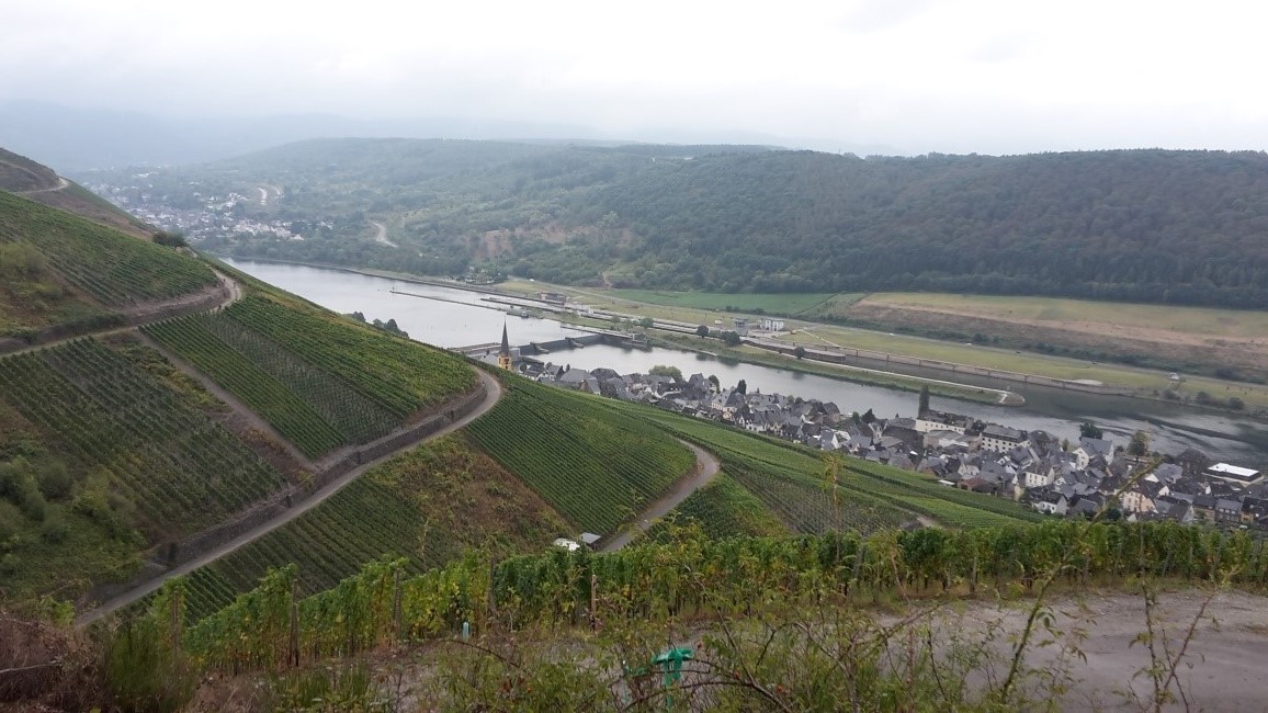 AH-Ausflug an die Mosel